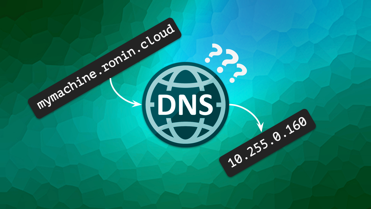 Determining which DNS server to use for your RONIN Isolate Determining which DNS server to use for your RONIN Isolate