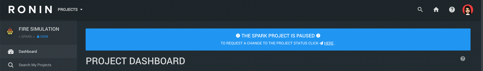 Project Pause and Auto Pause