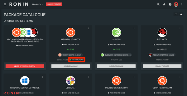 Custom AMI Updates for RONIN Packages via AWS Systems Manager